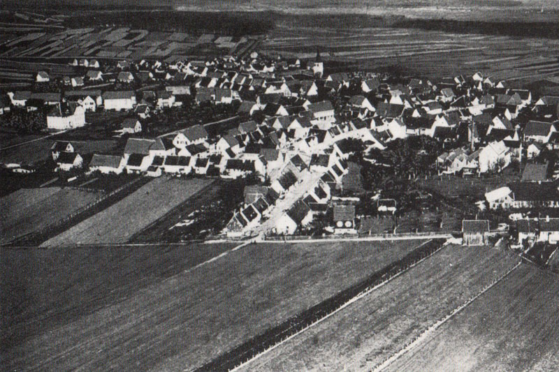 About BECK | Beck Site